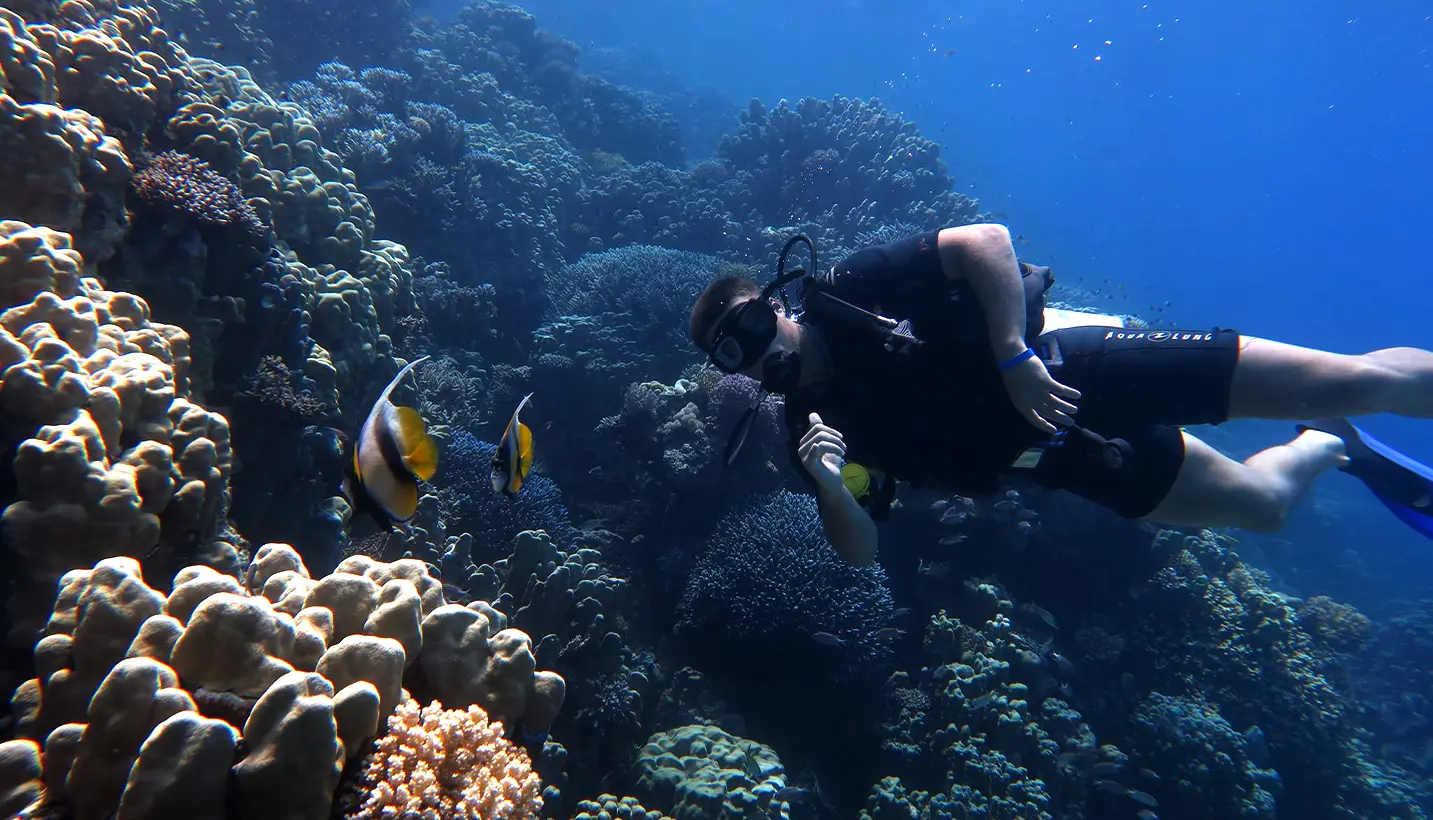 Egypt International Diving - Steigenberger Resort Ras Soma